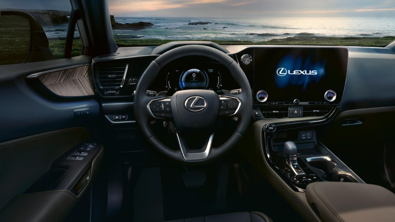 Hybrid Health Check service | Lexus Europe